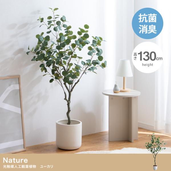 ●日常空間にグリーンを気軽に取り入れられる、光触媒人工観葉植物のユーカリ。●光触媒人工観葉植物は、照明光が当たることで消臭・抗菌・防汚・ホルムアルデヒド分解の効果を発揮します。●人工物でメンテナンスも簡単な観葉植物は、手軽に取り入れやすいの...