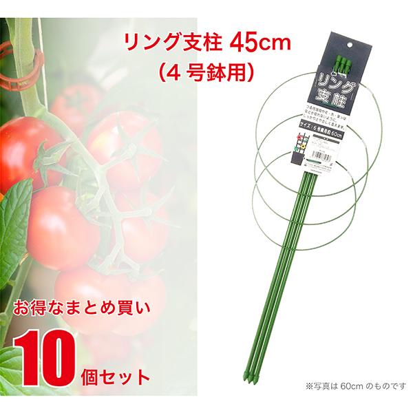 ■商品名： リング支柱 45cm (4号鉢用) 10個セット (まとめ買い) 朝顔 エンドウ ナス トマト キュウリ つる性植物 園芸 農業 資材 ガーデニング (業務用) FS-3-45-SET【まとめ買い】たくさん使う方に、まとめ買いが...