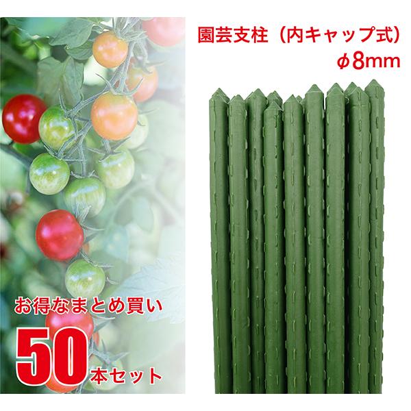 ■商品名： 園芸支柱 内キャップ式 8mm×長さ75cm 50本 セット (まとめ買い) 鋼管竹 イボ竹 農業 資材 花 野菜 畑 庭 ガーデニング 家庭菜園 JSB-8-75-SET 10本組×5【まとめ買い】たくさん使う方に、まとめ買い...