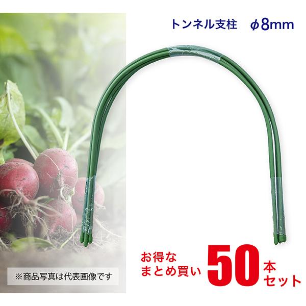 ■商品名：トンネル支柱 8mm×210cm 50本セット (まとめ買い) (配送地域限定商品) アーチ支柱 農業 畑 TS-8-210-SET-HOUJIN-ONLY 5本組x10【配送地域限定商品】大型・長尺商品のため、大変申し訳ございま...