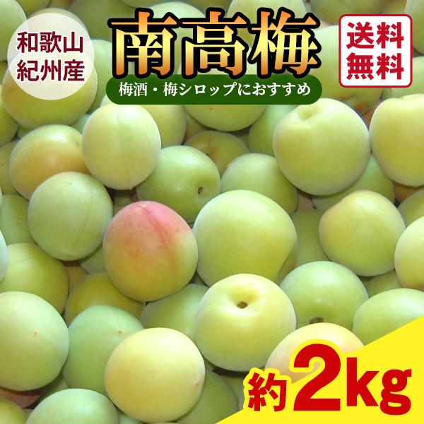 ●＜早め発送＞紀州産南高梅（2Lサイズ） 約2kg ●本場紀州の南高梅和歌山県の本場「紀州」より、紀州産南高梅を産地直送でお届けします。5月下旬ごろからの早め発送の南高梅は青めのものが多い傾向となります。梅酒や梅シロップ作りにおすすめです。...