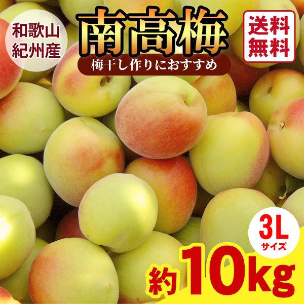 ●＜遅め発送＞紀州産南高梅　3Lサイズ　約10kg●本場紀州の南高梅和歌山県の本場「紀州」より、紀州産南高梅を産地直送でお届けします。6月10日ごろからの遅め発送の南高梅は、やや黄緑色のものが入る傾向となります。お好みの熟度に追熟して、梅シ...