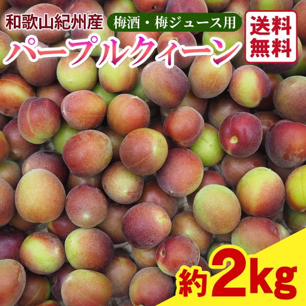 ●＜梅酒用・梅ジュース用＞パープルクィーン（2Lサイズ） 約2kg●本場紀州の青梅和歌山県の本場「紀州」より、パープルクィーンを産地直送でお届けします。『梅酒・梅ジュース用』としてお届けいたします。※選別・梱包・出荷作業は機械での対応となり...