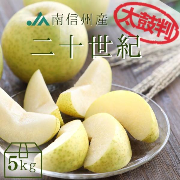 ・商品名梨 二十世紀（太鼓判）・産地長野県・内容量約5kg・入り数12〜16玉※玉数指定不可・等級太鼓判・発送時期9月上旬〜9月中旬※お届け日の指定不可※天候により前後する場合があります・保存方法涼しい場所で保管し、なるべくお早めにお召し上...