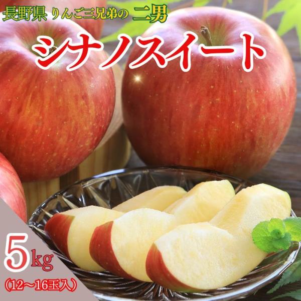 ・商品名シナノスイート・産地名長野県・内容量約5kg・入り数12〜16玉※玉数指定不可・等級秀・発送時期10月中旬〜10月下旬予定※お届け日の指定不可※天候により前後する場合があります・保存方法涼しい場所で保管し、なるべくお早めにお召し上が...