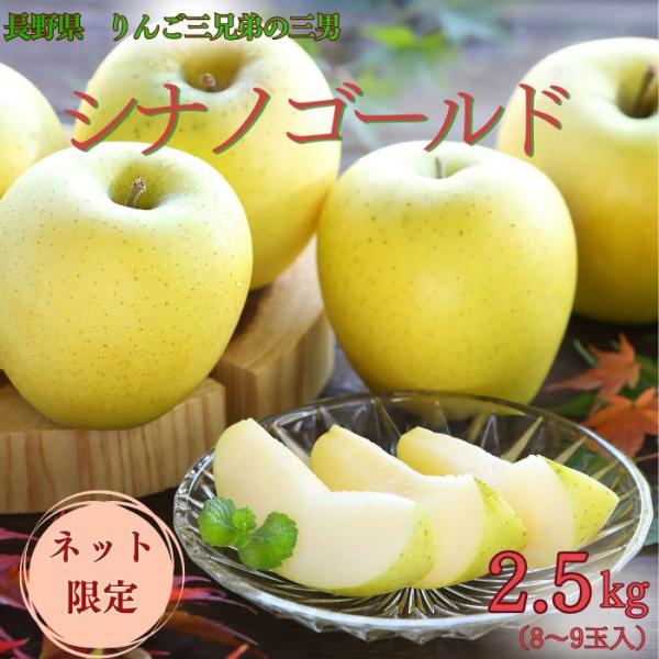 ・商品名シナノゴールド・産地名長野県・内容量約2.5kg・入り数8〜9玉※玉数指定不可・発送時期10月下旬〜11月上旬予定※お届け日の指定不可※天候により前後する場合があります・備考※沖縄への発送は１商品につき別途送料1,000円を頂戴しま...