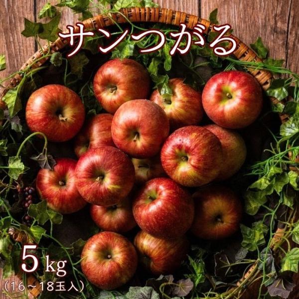 ・商品名サンつがる・産地名長野県・内容量約5kg・入り数16〜18玉※玉数指定不可・発送時期９月上旬〜発送予定※お届け日の指定不可※天候により前後する場合があります・備考※サンつがるは９月上旬より順次発送開始予定となります。天候などにより発...