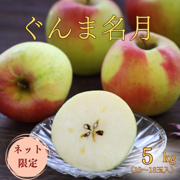 ・商品名ぐんま名月・産地名長野県・内容量約5kg・入り数10〜18玉※玉数指定不可・発送時期10月下旬〜※お届け日の指定不可※天候により前後する場合があります・保存方法涼しい場所で保管し、なるべくお早めにお召し上がりください。・備考※沖縄へ...