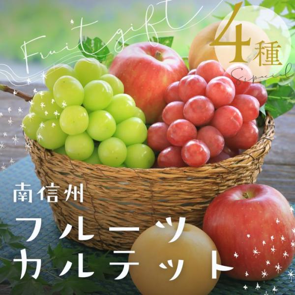 ・商品名南信州フルーツカルテット・産地名長野県・内容量約2.5kg・入り数南水2玉・シナノスイート2玉・シャインマスカット1房・クイーンルージュ1房・発送時期10月上旬〜発送予定※お届け日の指定不可※天候により前後する場合があります※美味し...