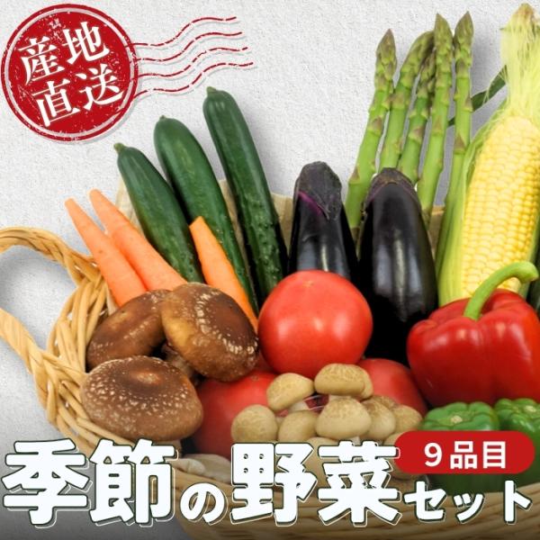 ・商品名季節の野菜セット・産地長野県　南信州産・内容量野菜、全9品目※品目はお任せください。・発送時期7月中旬〜8月上旬予定※お届け日の指定不可※天候により前後する場合があります・発送方法クール便（冷蔵）※沖縄への発送は１商品につき別途送料...