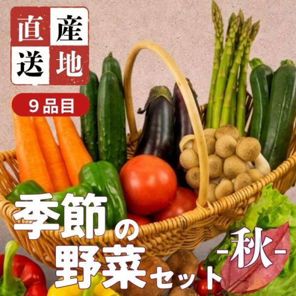 ・商品名季節の野菜セット-秋-・産地長野県　南信州産・内容量野菜・きのこ９品目※品目はお任せください。・発送時期8月中旬〜9月中旬予定※お届け日の指定不可※天候により前後する場合があります・発送方法クール便（冷蔵）※沖縄への発送は１商品につ...