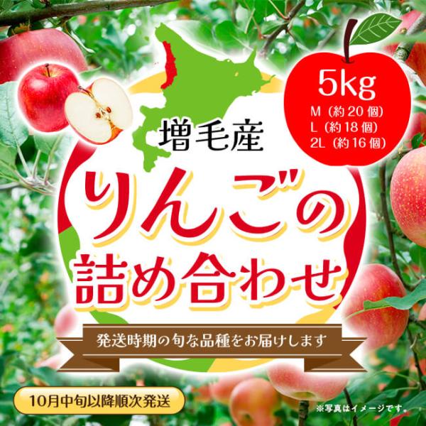 【発売日：2026年10月01日】日本最北の果樹産地【増毛町（ましけちょう）】から、甘くておいしいりんごをお届けします！・予約販売となります！予約期間は10月1日〜10月20日までです。・商品の発送は10月中旬以降順次発送致します。・近畿・...