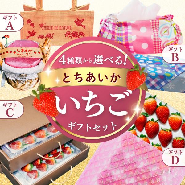 【ギフトA】シリーズ名 （株）デアトロイマー　苺ギフトAセットブランド名 （株）デアトロイマー原産国／製造国 日本総個数 1総重量 140gいちごの品種 とちあいか栽培キット苺品種 ワイルドストロベリー産地（都道府県） 中国【ギフトB】シリ...