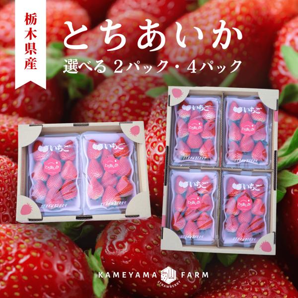 【発売日：2026年02月24日】シリーズ名 苺ブランド名 亀山農園（ＪＡ佐野　苺部会）原産国／製造国 日本総重量 560g〜1120gいちごの品種 とちあいか産地（都道府県） 栃木賞味期限 到着から５日間程度製造者 亀山農園（ＪＡ佐野苺部...