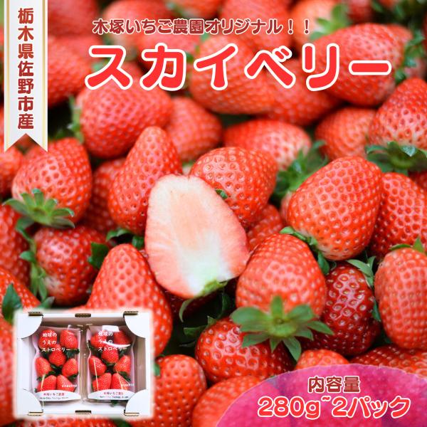 商品仕様シリーズ名 スカイベリーブランド名 木塚いちご農園原産国／製造国 日本総重量 560gいちごの品種 スカイベリー産地（都道府県） 栃木消費期限 到着日から５日以内が推奨です賞味期限 到着日から５日以内が推奨です製造者 木塚雄介（ＪＡ...