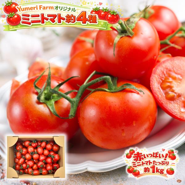 シリーズ名 ミニトマトブランド名 Yumeri Farm原産国／製造国 日本総重量 1kgトマトの種類 ミニトマトトマトの品種 ４種類産地（都道府県） 栃木食品の状態 生食品配送状態 常温消費期限 到着日から１０日以内が推奨です賞味期限 到...