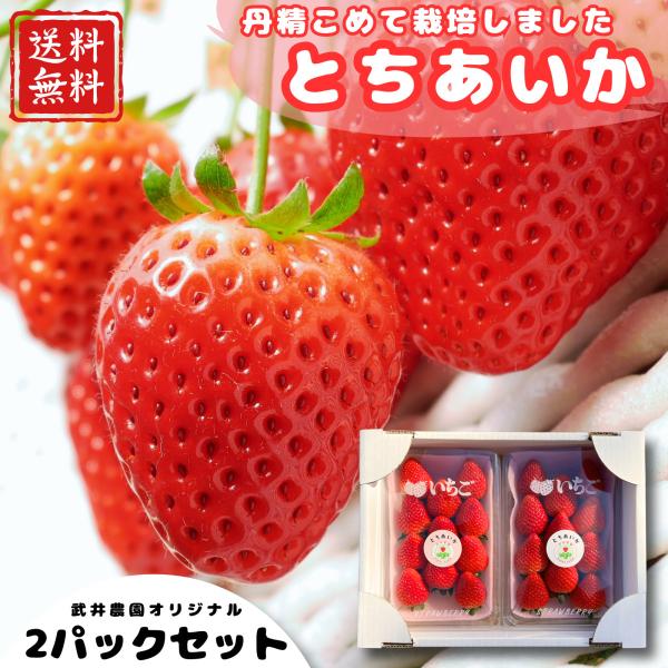 シリーズ名 苺ブランド名 武井農園（ＪＡ佐野苺部会）原産国／製造国 日本総重量 560gいちごの品種 とちあいか産地（都道府県） 栃木消費期限 到着日から５日以内が推奨です賞味期限 到着日から５日以内が推奨です製造者 武井農園（ＪＡ佐野苺部...
