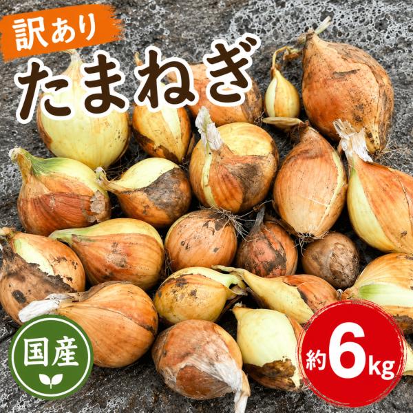 フードロス対策として考案した商品となります。大きさや形が歪なタマネギが含まれます。ご了承のうえ購入ください。