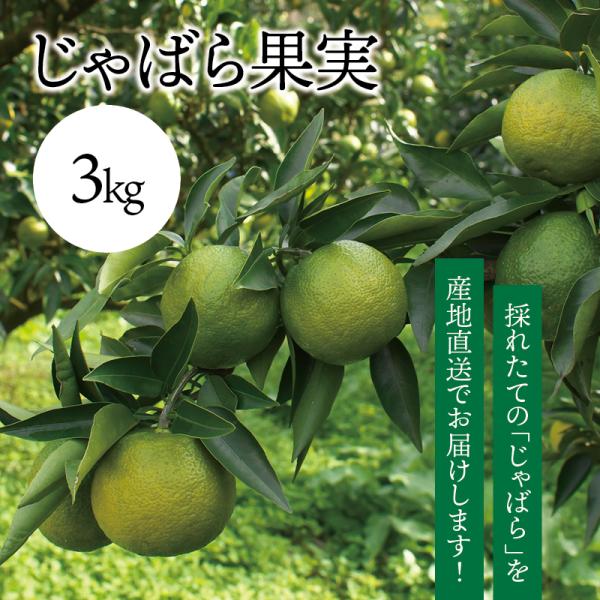 今年もやってまいりました、新物の季節！じゃばらの果実が買えるのはこの時期だけ！  ・当店は、じゃばらの産地、北山村の公式ショップです。  ・販売している商品は全て公式アイテムとなります。  ・一般流通している模造品にはお気を付けください。商...