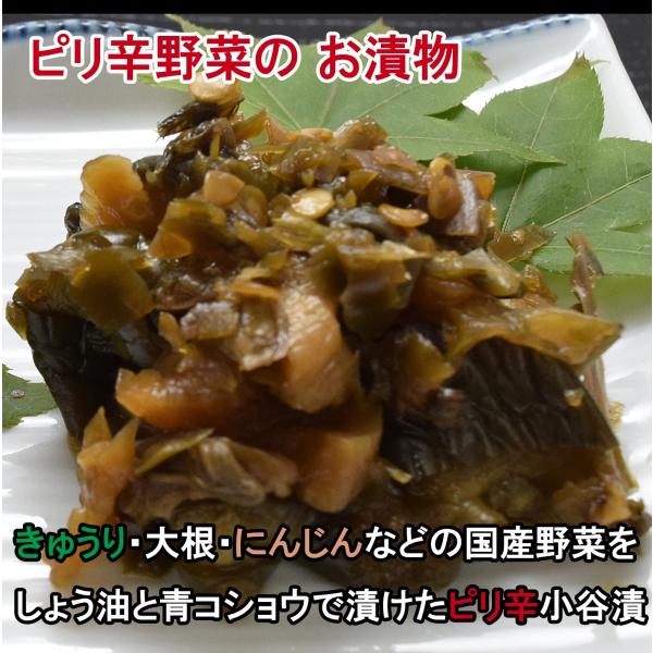 【発売日：2019年10月28日】きゅうり・大根・にんじん・なす・みょうが・しその実などを手作業で刻み、古くから白馬・小谷地区で行われてきた方法で漬けた野菜のしょうゆ漬けです。厳選された国産野菜を、野菜を知り尽くしたJA職員が丁寧に刻み・青...