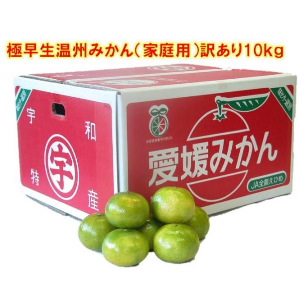 【発売日：2026年09月28日】9月上旬に収穫される極早生から、1月中旬に収穫される晩生温州までを総称して温州みかんと呼びます。こちらで販売するのは、極早生温州です。果皮はやや緑掛かっていますが、果肉の爽やかな酸味が病みつきになります。是...
