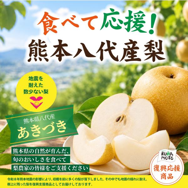JAやつしろは、100年以上前に熊本県で初めて梨の栽培を行った歴史ある産地です。そこで採れた梨は、「吉野梨」のブランドで長年親しまれていましたが2026年7月28日に発生した令和8年熊本地震において、収穫を目前に控えた多くの梨が落下してしま...