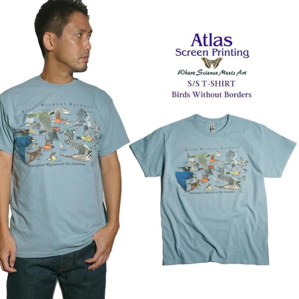 　アメリカ国内の博物館のギフトをメインに手掛けているアトラススクリーンプリンティングのプリントTシャツ。こちらは様々な野鳥のグラフィックがフロント一面に配されたデザイン。プリント技術の高さを売りにしているファクトリーだけあり、プリントの繊細...