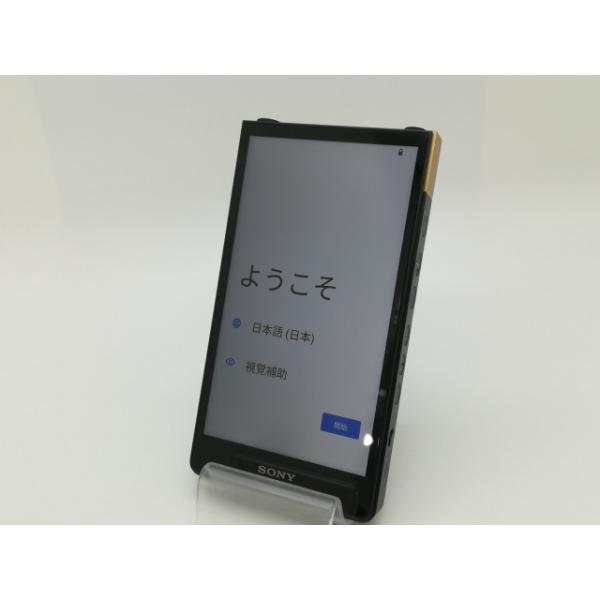 ■分類：ポータブルオーディオ■ランク：ランクA■メーカー：SONY■製造番号：10184303■備考：状態：状態良好の中古商品。キズ、使用感はほとんどありません。付属品：箱、充電ケーブル、印刷物■保証期間：１ヶ月■注意事項：お客様のモニター...