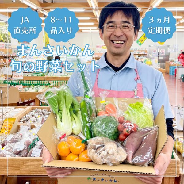 静岡県JA大井川管内で収穫された野菜の詰合せセットを1ヵ月に1回、３ヵ月間、合計３回お届けいたします。発送日の朝に生産者が直接運び入れた新鮮な農産物を店舗スタッフが選びお届けいたします。品　 数：８〜11品箱規格：５kgサイズ箱お届け日：7...