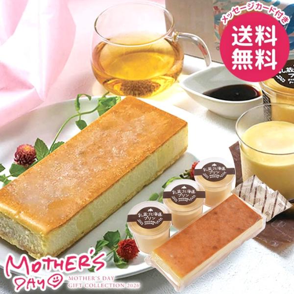 おしゃれでかわいい母の日ギフト・母の日プレゼント特集中！カーネーション バラ 薔薇 ばら ガーベラ 百合 ゆり チューリップ スイートピー ピンク レッド ホワイト ブルー イエロー 鉢植え 鉢植 花鉢 鉢花 和菓子 洋菓子 カステラ かす...