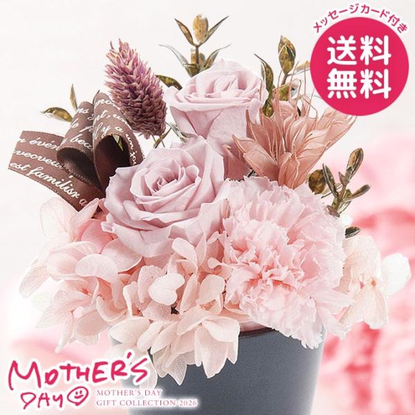 おしゃれでかわいい母の日ギフト・母の日プレゼント特集中！カーネーション バラ 薔薇 ばら ガーベラ 百合 ゆり チューリップ スイートピー ピンク レッド ホワイト ブルー イエロー 鉢植え 鉢植 花鉢 鉢花 和菓子 洋菓子 カステラ かす...