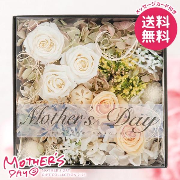 おしゃれでかわいい母の日ギフト・母の日プレゼント特集中！カーネーション バラ 薔薇 ばら ガーベラ 百合 ゆり チューリップ スイートピー ピンク レッド ホワイト ブルー イエロー 鉢植え 鉢植 花鉢 鉢花 和菓子 洋菓子 カステラ かす...