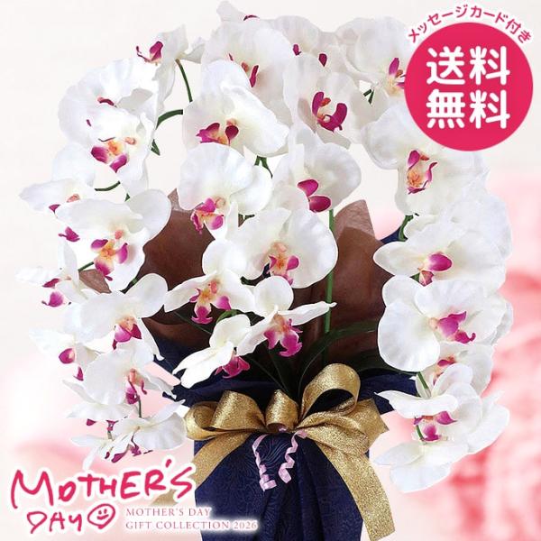 おしゃれでかわいい母の日ギフト・母の日プレゼント特集中！カーネーション バラ 薔薇 ばら ガーベラ 百合 ゆり チューリップ スイートピー ピンク レッド ホワイト ブルー イエロー 鉢植え 鉢植 花鉢 鉢花 和菓子 洋菓子 カステラ かす...