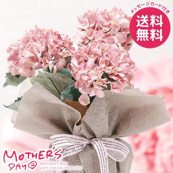 おしゃれでかわいい母の日ギフト・母の日プレゼント特集中！カーネーション バラ 薔薇 ばら ガーベラ 百合 ゆり チューリップ スイートピー ピンク レッド ホワイト ブルー イエロー 鉢植え 鉢植 花鉢 鉢花 和菓子 洋菓子 カステラ かす...