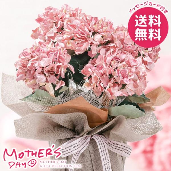 おしゃれでかわいい母の日ギフト・母の日プレゼント特集中！カーネーション バラ 薔薇 ばら ガーベラ 百合 ゆり チューリップ スイートピー ピンク レッド ホワイト ブルー イエロー 鉢植え 鉢植 花鉢 鉢花 和菓子 洋菓子 カステラ かす...