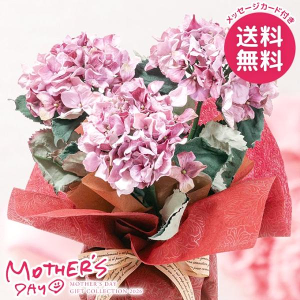 おしゃれでかわいい母の日ギフト・母の日プレゼント特集中！カーネーション バラ 薔薇 ばら ガーベラ 百合 ゆり チューリップ スイートピー ピンク レッド ホワイト ブルー イエロー 鉢植え 鉢植 花鉢 鉢花 和菓子 洋菓子 カステラ かす...