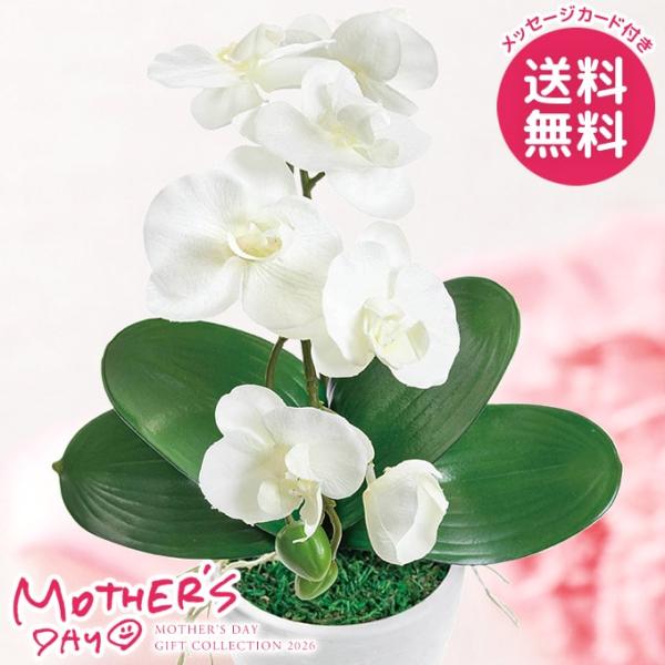 おしゃれでかわいい母の日ギフト・母の日プレゼント特集中！カーネーション バラ 薔薇 ばら ガーベラ 百合 ゆり チューリップ スイートピー ピンク レッド ホワイト ブルー イエロー 鉢植え 鉢植 花鉢 鉢花 和菓子 洋菓子 カステラ かす...