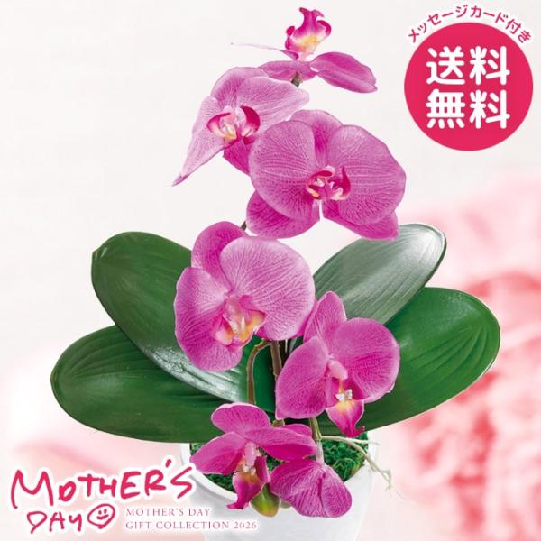 おしゃれでかわいい母の日ギフト・母の日プレゼント特集中！カーネーション バラ 薔薇 ばら ガーベラ 百合 ゆり チューリップ スイートピー ピンク レッド ホワイト ブルー イエロー 鉢植え 鉢植 花鉢 鉢花 和菓子 洋菓子 カステラ かす...