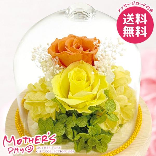 おしゃれでかわいい母の日ギフト・母の日プレゼント特集中！カーネーション バラ 薔薇 ばら ガーベラ 百合 ゆり チューリップ スイートピー ピンク レッド ホワイト ブルー イエロー 鉢植え 鉢植 花鉢 鉢花 和菓子 洋菓子 カステラ かす...