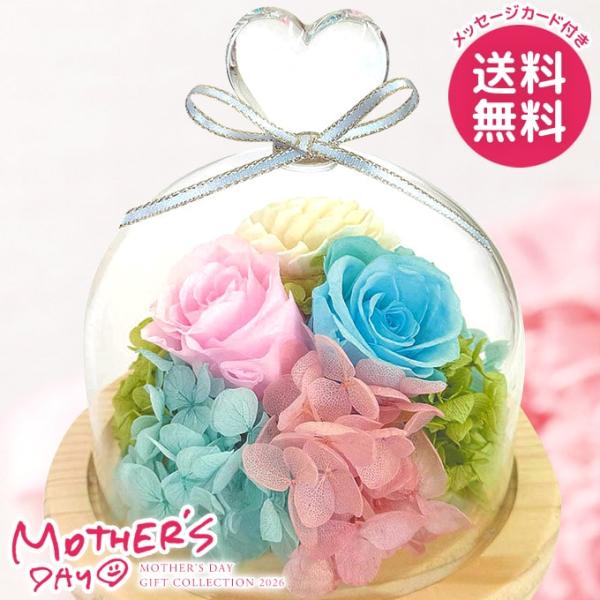 おしゃれでかわいい母の日ギフト・母の日プレゼント特集中！カーネーション バラ 薔薇 ばら ガーベラ 百合 ゆり チューリップ スイートピー ピンク レッド ホワイト ブルー イエロー 鉢植え 鉢植 花鉢 鉢花 和菓子 洋菓子 カステラ かす...