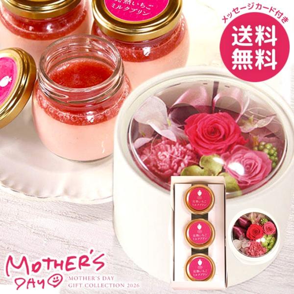 おしゃれでかわいい母の日ギフト・母の日プレゼント特集中！カーネーション バラ 薔薇 ばら ガーベラ 百合 ゆり チューリップ スイートピー ピンク レッド ホワイト ブルー イエロー 鉢植え 鉢植 花鉢 鉢花 和菓子 洋菓子 カステラ かす...