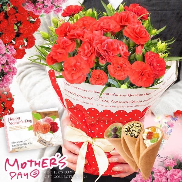 おしゃれでかわいい母の日ギフト・母の日プレゼント特集中！鉢植え 花束 アレンジメント プリザ カーネーション あじさい バラ など品種・種類も多数。お花とお菓子セットや有名ブランドスイーツも！40代 50代 60代 70代 80代、年齢層別...