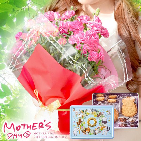 おしゃれでかわいい母の日ギフト・母の日プレゼント特集中！鉢植え 花束 アレンジメント プリザ カーネーション あじさい バラ など品種・種類も多数。お花とお菓子セットや有名ブランドスイーツも！40代 50代 60代 70代 80代、年齢層別...