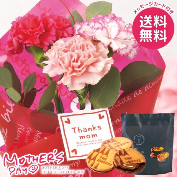 おしゃれでかわいい母の日ギフト・母の日プレゼント特集中！カーネーション バラ 薔薇 ばら ガーベラ 百合 ゆり チューリップ スイートピー ピンク レッド ホワイト ブルー イエロー 鉢植え 鉢植 花鉢 鉢花 和菓子 洋菓子 カステラ かす...