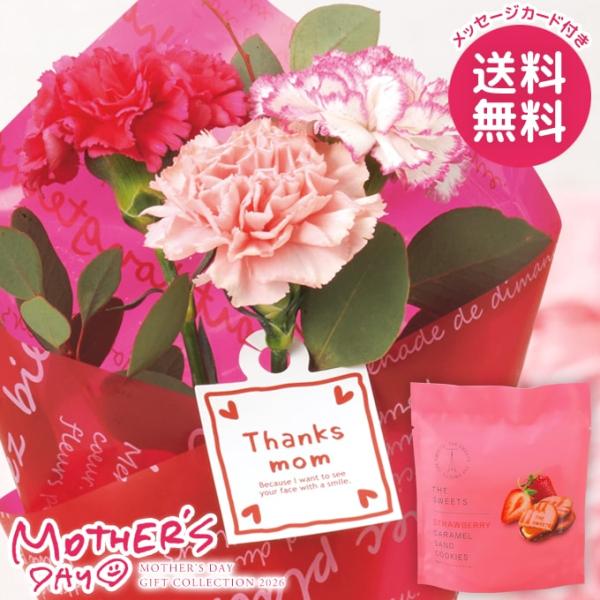 おしゃれでかわいい母の日ギフト・母の日プレゼント特集中！カーネーション バラ 薔薇 ばら ガーベラ 百合 ゆり チューリップ スイートピー ピンク レッド ホワイト ブルー イエロー 鉢植え 鉢植 花鉢 鉢花 和菓子 洋菓子 カステラ かす...