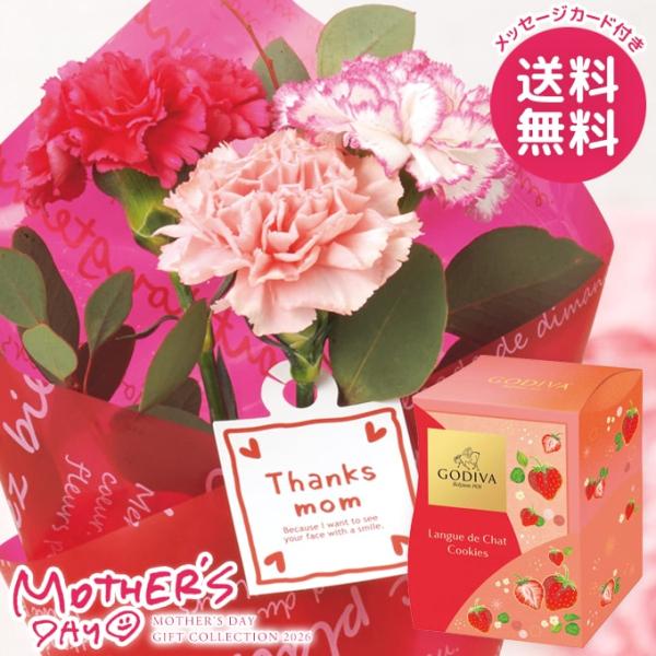 おしゃれでかわいい母の日ギフト・母の日プレゼント特集中！カーネーション バラ 薔薇 ばら ガーベラ 百合 ゆり チューリップ スイートピー ピンク レッド ホワイト ブルー イエロー 鉢植え 鉢植 花鉢 鉢花 和菓子 洋菓子 カステラ かす...