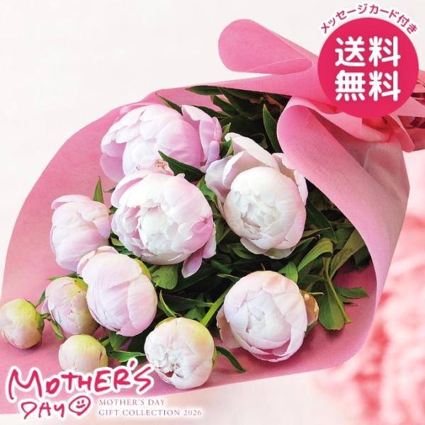 おしゃれでかわいい母の日ギフト・母の日プレゼント特集中！カーネーション バラ 薔薇 ばら ガーベラ 百合 ゆり チューリップ スイートピー ピンク レッド ホワイト ブルー イエロー 鉢植え 鉢植 花鉢 鉢花 和菓子 洋菓子 カステラ かす...