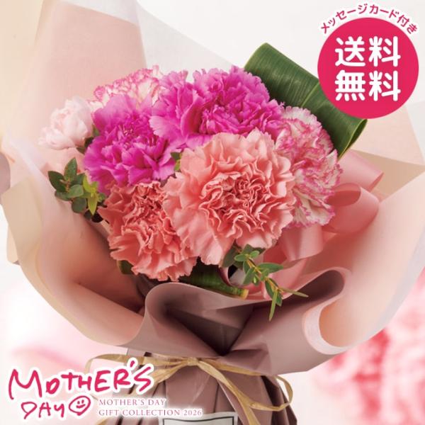 おしゃれでかわいい母の日ギフト・母の日プレゼント特集中！カーネーション バラ 薔薇 ばら ガーベラ 百合 ゆり チューリップ スイートピー ピンク レッド ホワイト ブルー イエロー 鉢植え 鉢植 花鉢 鉢花 和菓子 洋菓子 カステラ かす...