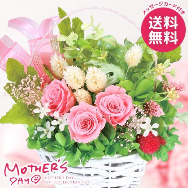 おしゃれでかわいい母の日ギフト・母の日プレゼント特集中！カーネーション バラ 薔薇 ばら ガーベラ 百合 ゆり チューリップ スイートピー ピンク レッド ホワイト ブルー イエロー 鉢植え 鉢植 花鉢 鉢花 和菓子 洋菓子 カステラ かす...