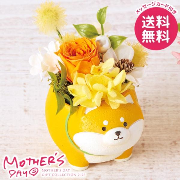 おしゃれでかわいい母の日ギフト・母の日プレゼント特集中！カーネーション バラ 薔薇 ばら ガーベラ 百合 ゆり チューリップ スイートピー ピンク レッド ホワイト ブルー イエロー 鉢植え 鉢植 花鉢 鉢花 和菓子 洋菓子 カステラ かす...